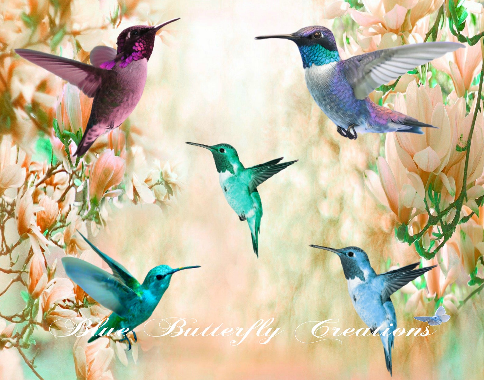 Hummingbird PNG Overlays Scrapbook Elements Scrapbook - Etsy