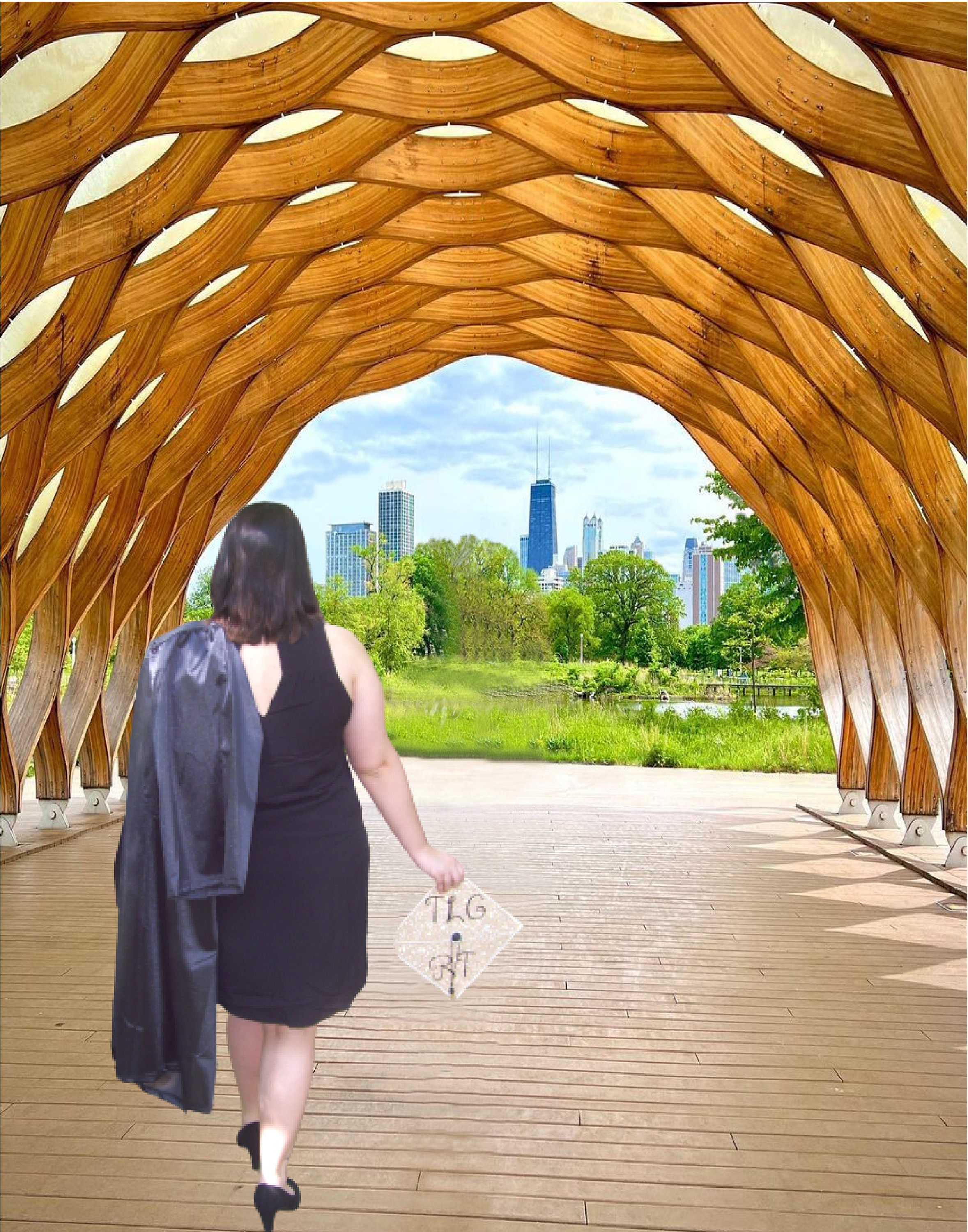 Honeycomb Digital Background, Chicago Skyline Digital Photo Background ...