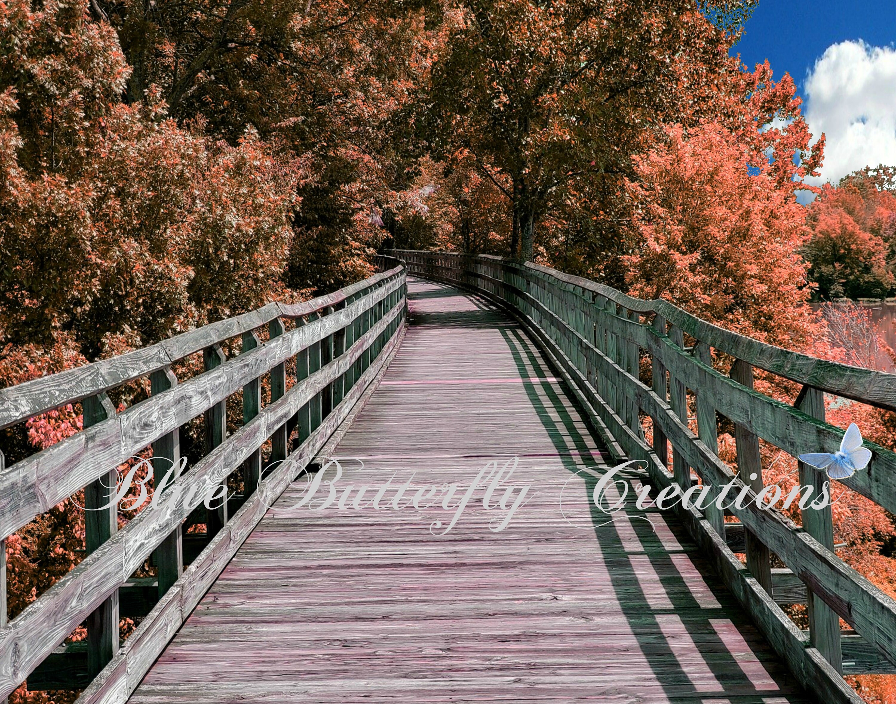 Fall Photo Background, Bridge Photo Background, Autumn Bridge Photo ...
