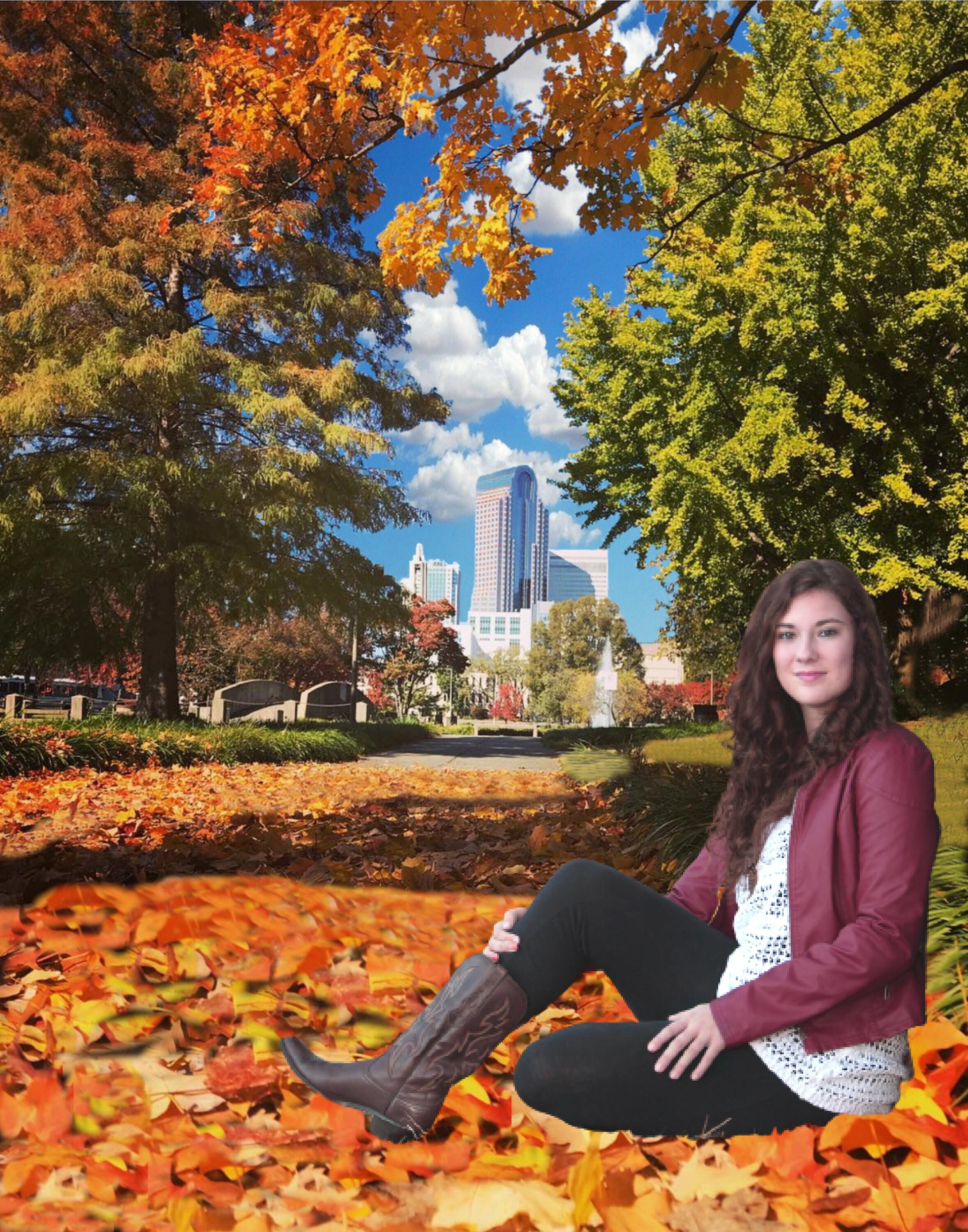 Charlotte Skyline Digital Photo Background Charlotte NC Fall - Etsy