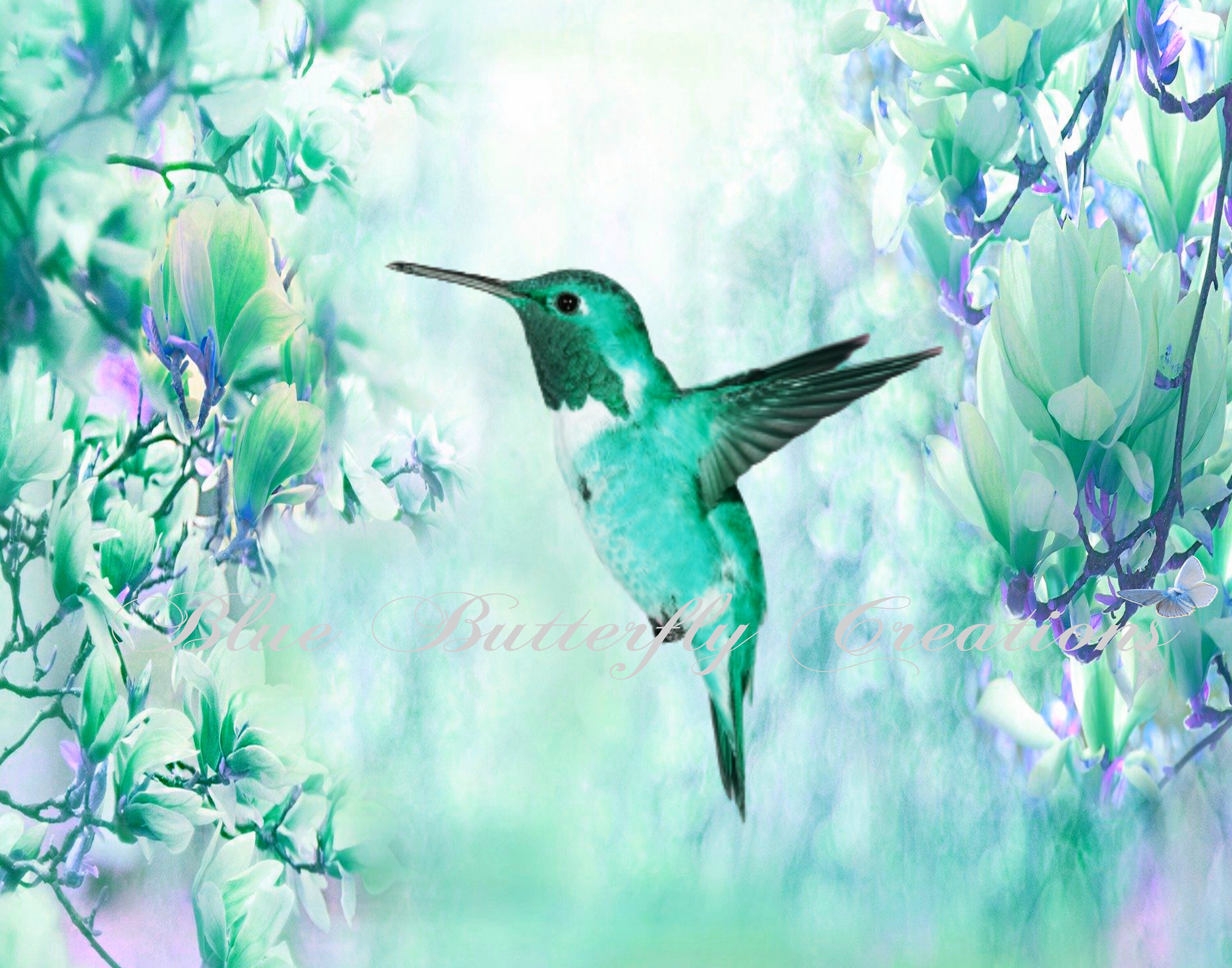 Hummingbird PNG Overlays, Scrapbook Elements, Scrapbook Clipart, Card ...