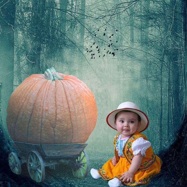3d Giant Pumpkin Backdrop - Etsy