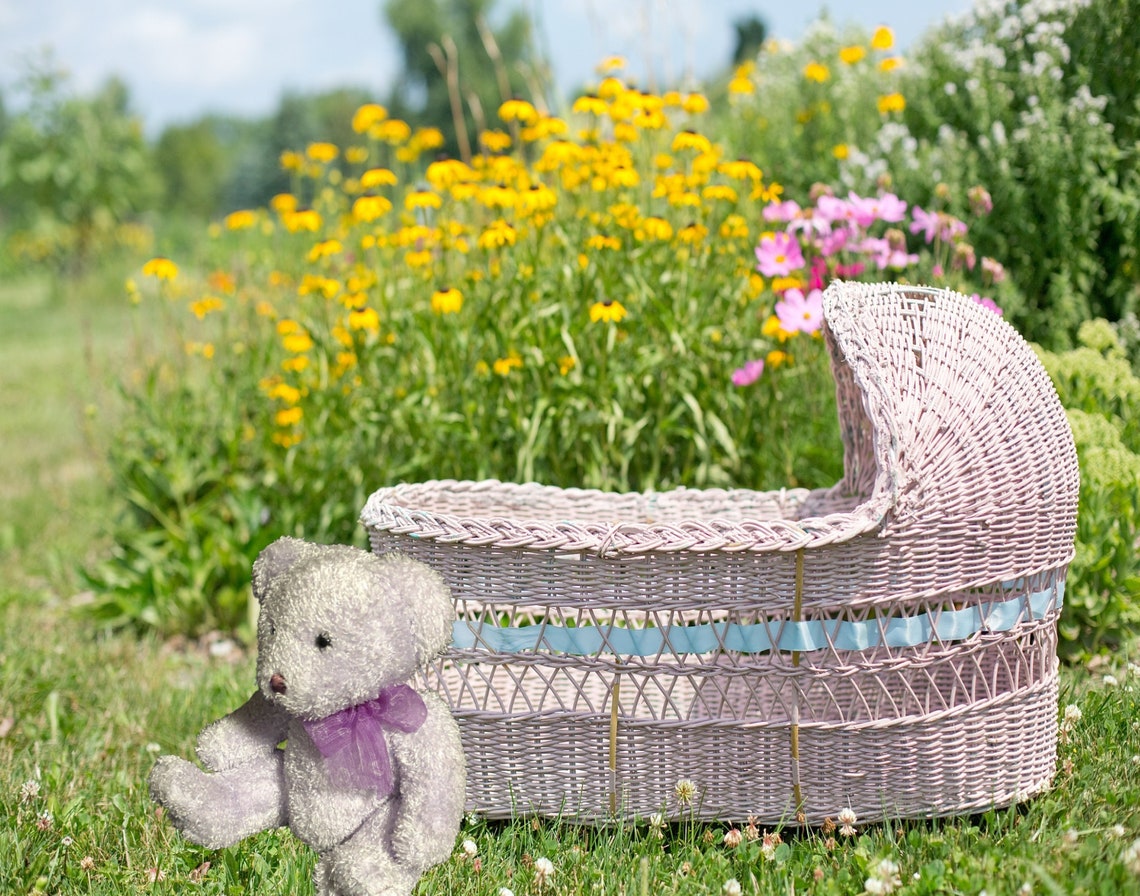 Teddy Bear Overlays Newborn Background Props Girls Teddy - Etsy