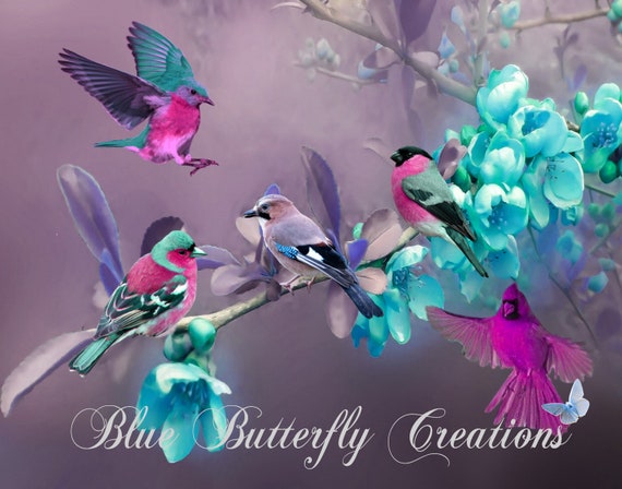 Purple Bird Clipart