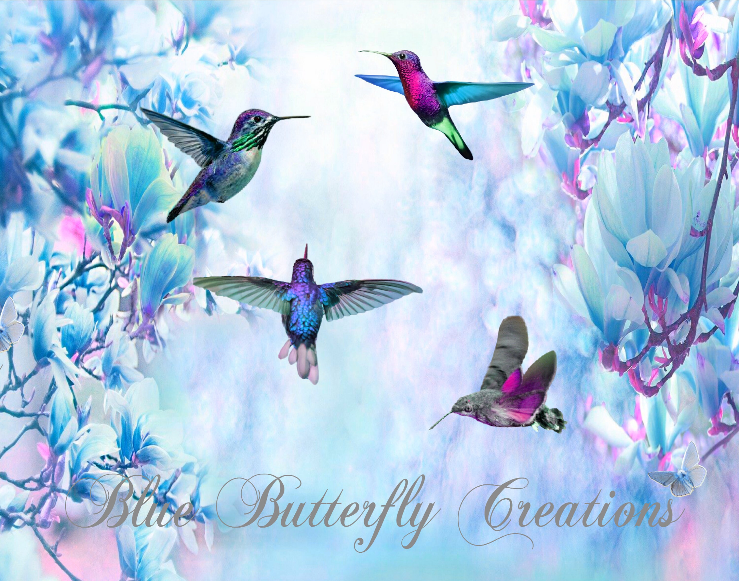 Hummingbird PNG Overlays, Photoshop Overlays, Digital Photo Overlays ...