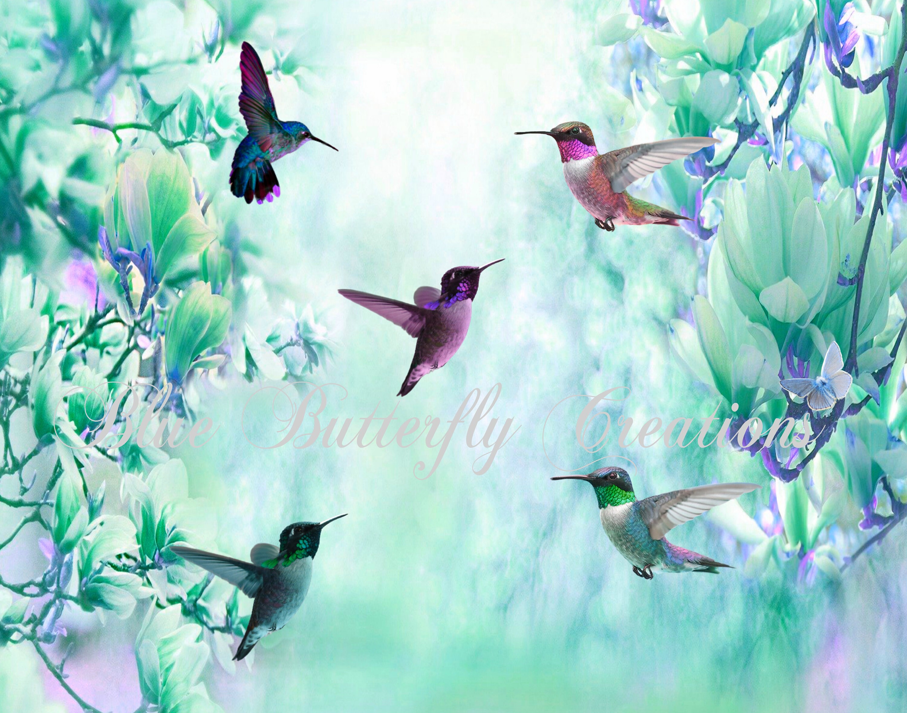 Hummingbird PNG Overlays Photoshop Overlays Digital Photo - Etsy