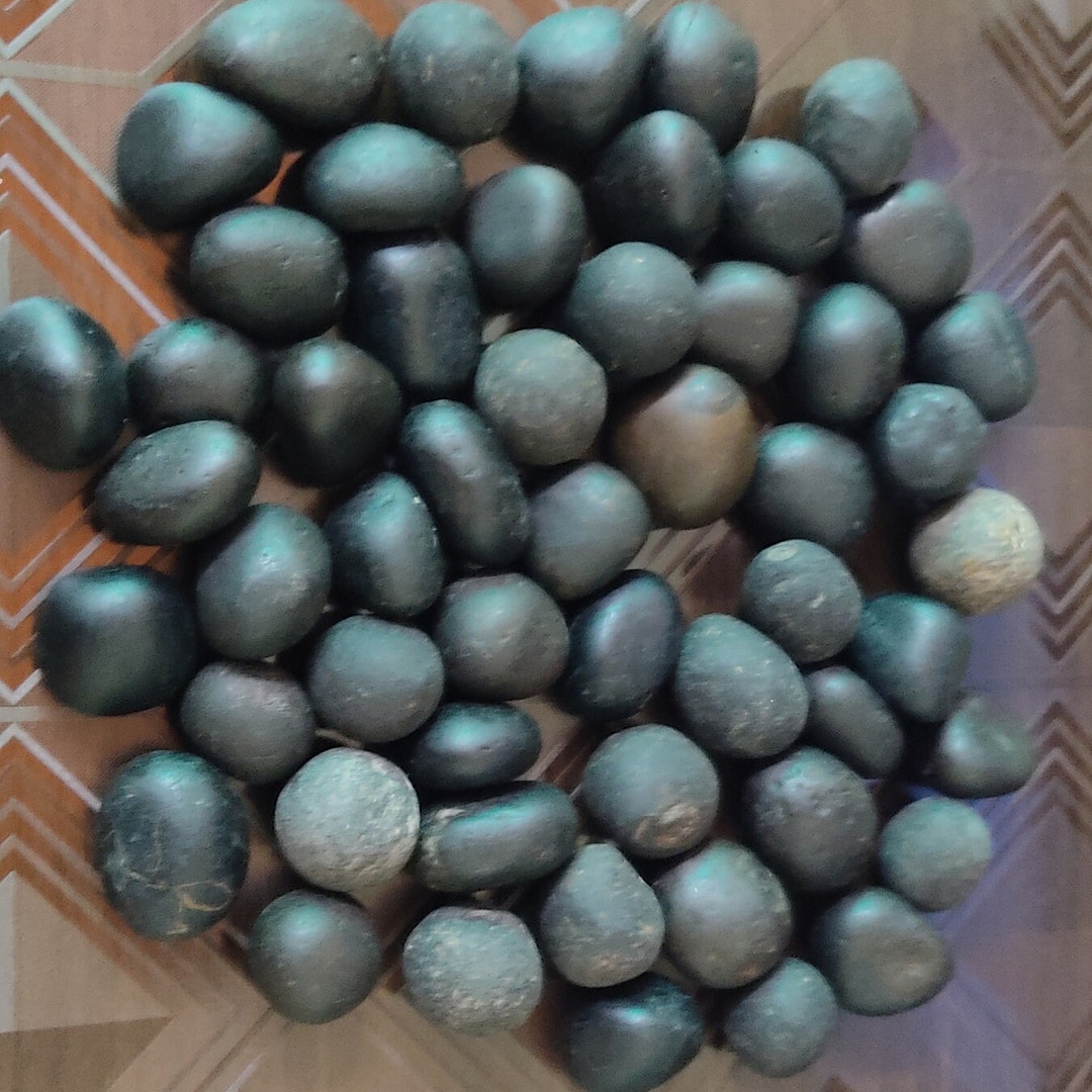 Sacred Shaligram Shaligrama Small Shila 54 Pieces - Etsy