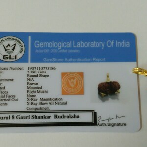 Gauri Gouri Gowri Shankar Rudraksha Pendent Java Origin Lab Certified - Etsy