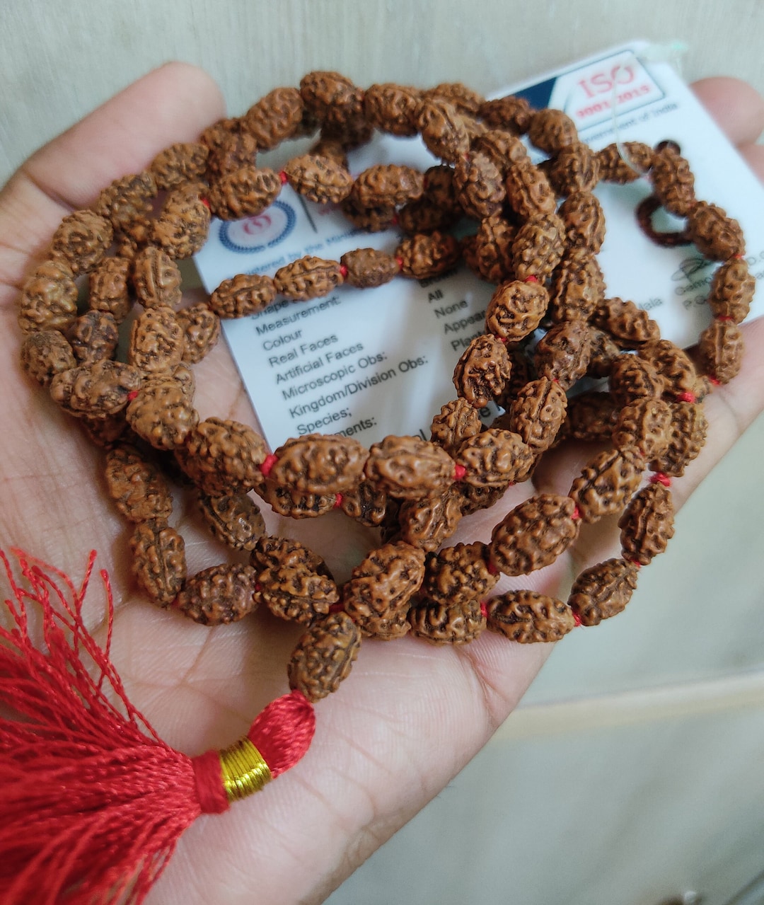 2 Mukhi Rudraksha Mala Two Face Rudraksha Rosary Necklace 109 Beads ...