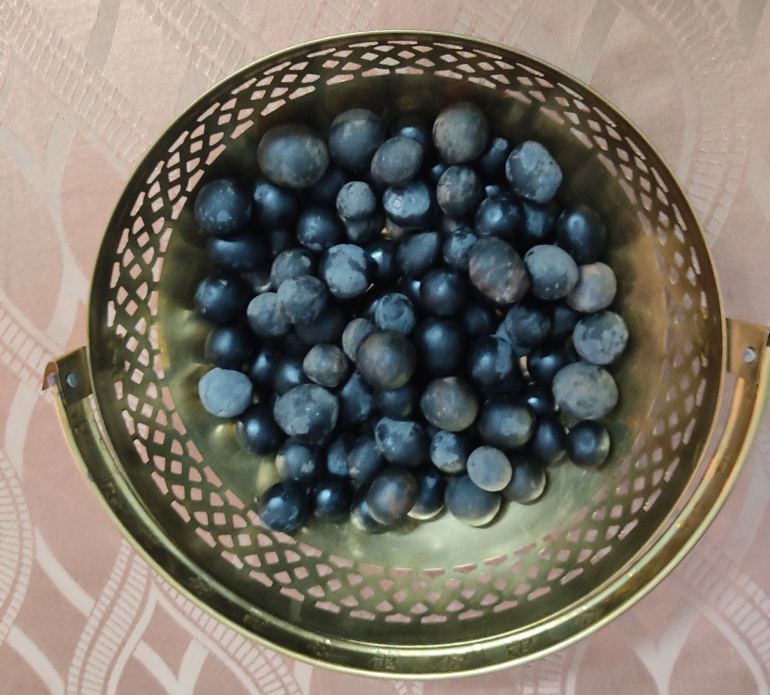 Sacred Laddo Gopal Shaligram Shaligrama Shila 108 Pieces - Etsy