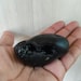 Natural Laxmi Narayan Shaligram Shila Real Saligram Nepal Gandaki River ...