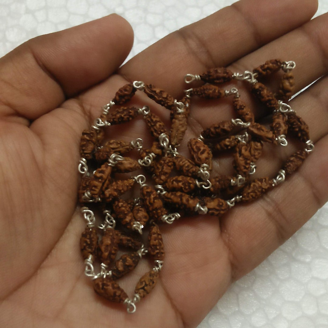 Rare 1 Mukhi Rudraksha Mala Also Called Shiv Netra Mala 55 Beads ...