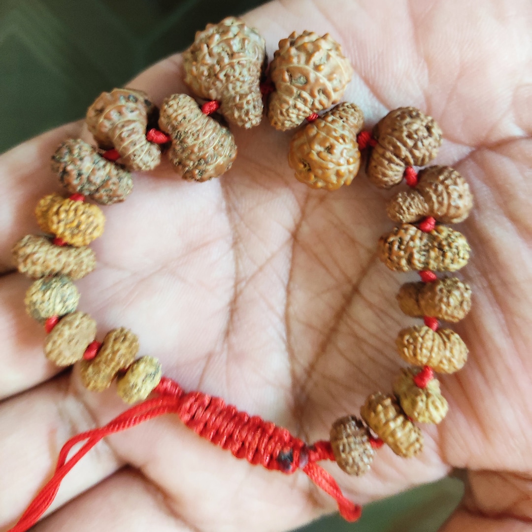 14 Mukhi Rudraksha Bracelet Maha Bali Hanuman Bracelet 20 Beads Java ...