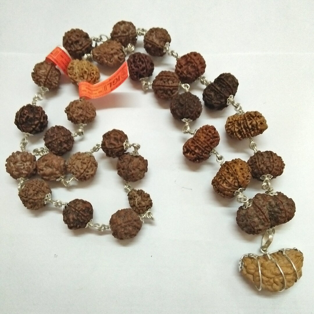 Rudraksha Siddha Mala: Nepal Origin, 1-14 Mukhi, Silver Wire - Etsy