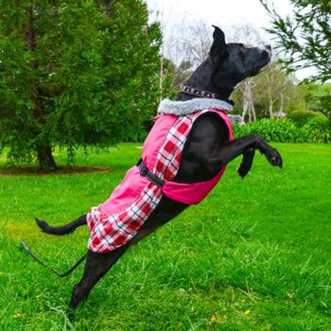 All-weather Waterproof Dog Coat Raspberry Plaid Free Name Embroidery ...