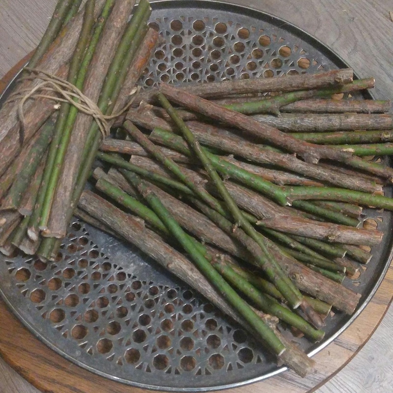 Chewing Stick - Etsy