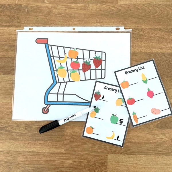 File Folder Game - Etsy