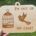 Out of Cage Bird Sign, 2 Sided, Pet Bird Home Decor, Cockatiel ...