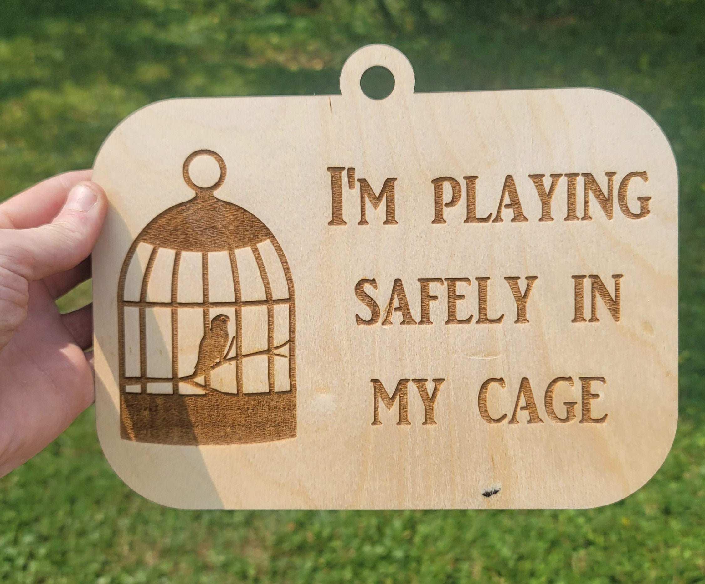 Out of Cage Bird Sign 2 Sided Pet Bird Home Decor - Etsy