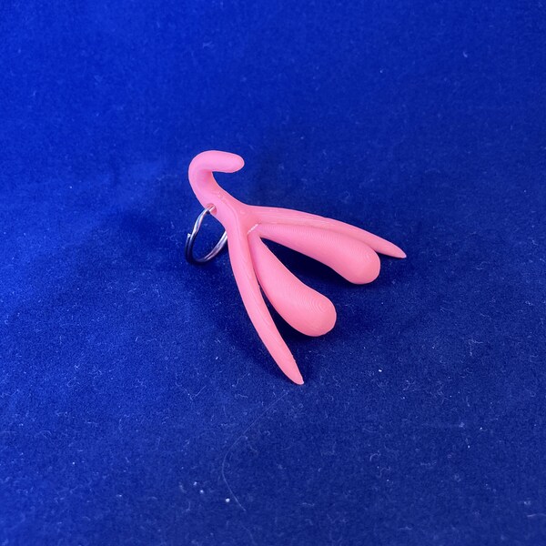 Clitoris 3d Model Etsy Australia