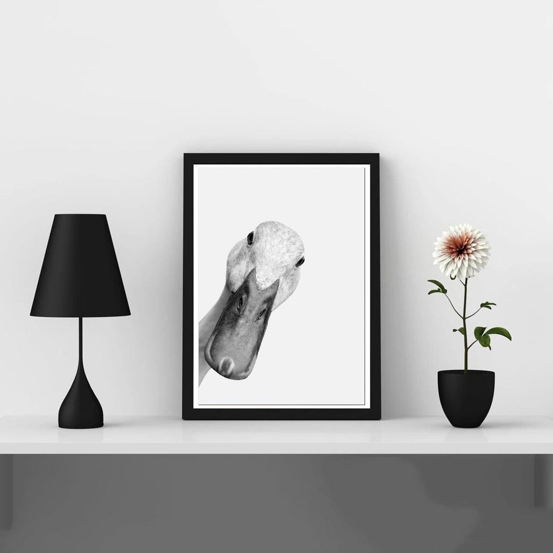 Mallard Duck Poster Canvas Wall Art Home Decor (no Frame) - Etsy