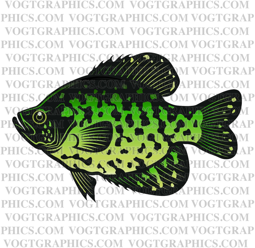 Crappie SVG, Crappie PNG, Professional High-end Fishing Graphic ...