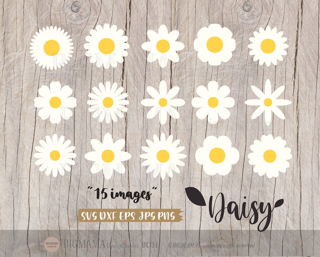 Daisy SVG Bundle,cut File,layered,spring,wildlife Flower,floral,garden ...