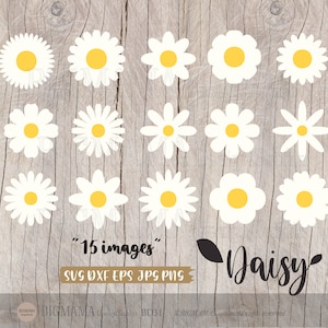 Daisy SVG Bundle,cut File,layered,spring,wildlife Flower,floral,garden ...