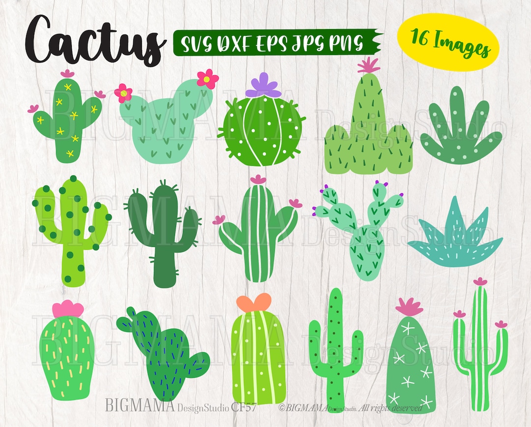 Cactus Svg,cactus Svg Files for Cricut,cactus Svg Bundle,png,dxf,cactus ...