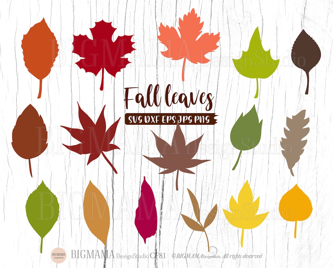 Fall Leaves Svg,dxf,print,autumn Leaves,fall Leaf,maple,cut Files ...