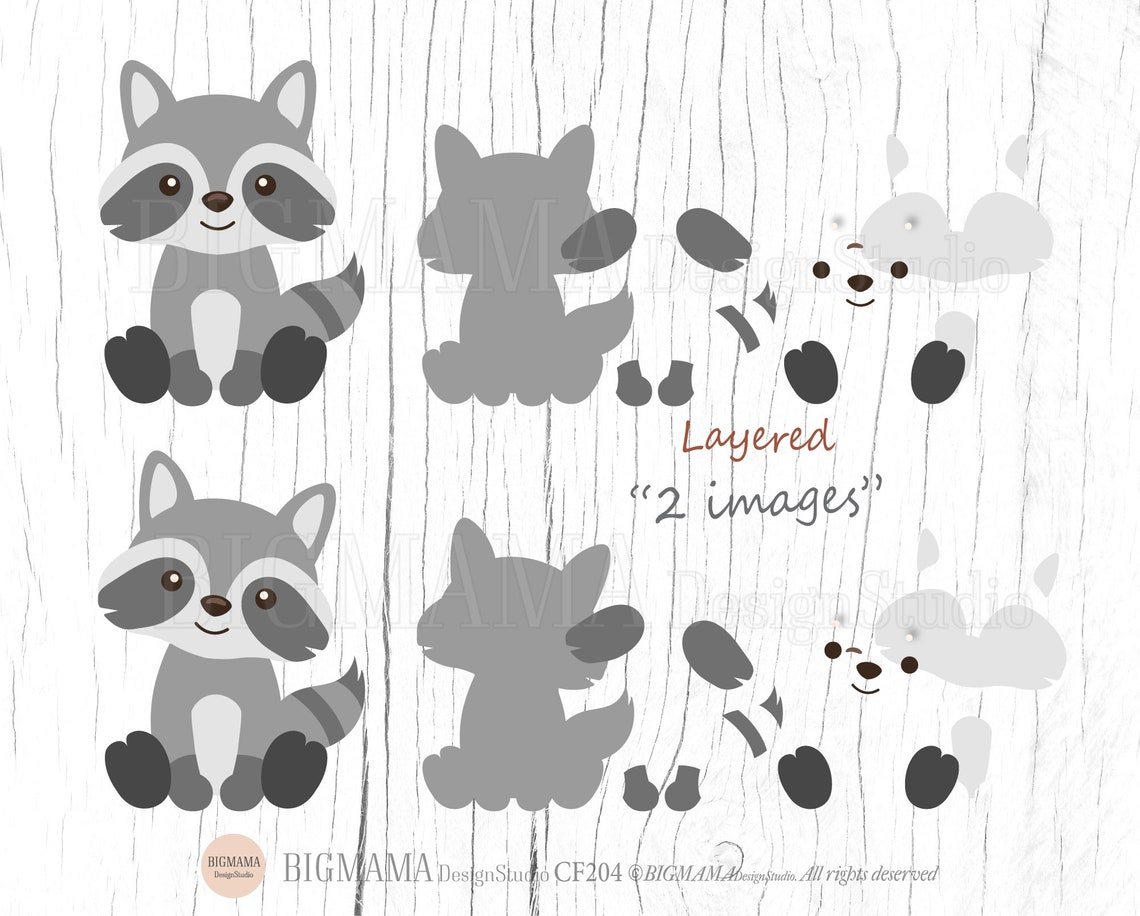 Baby Raccoon Svgwoodland Animals Svgforestraccoon - Etsy