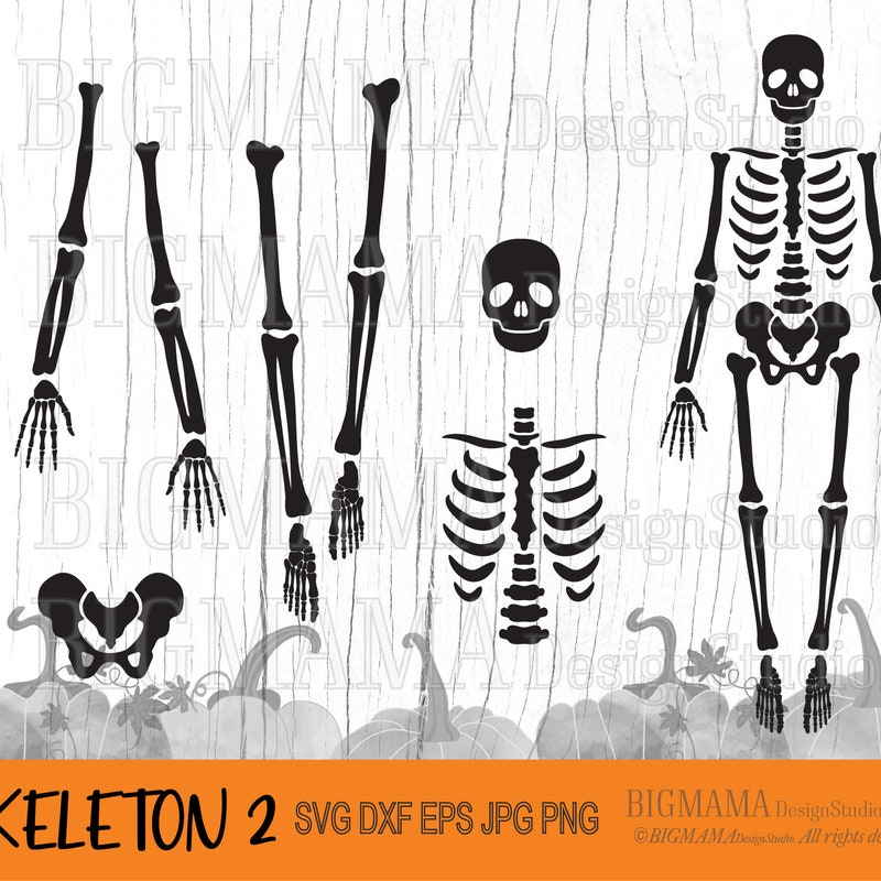Skeleton Svg File - Etsy