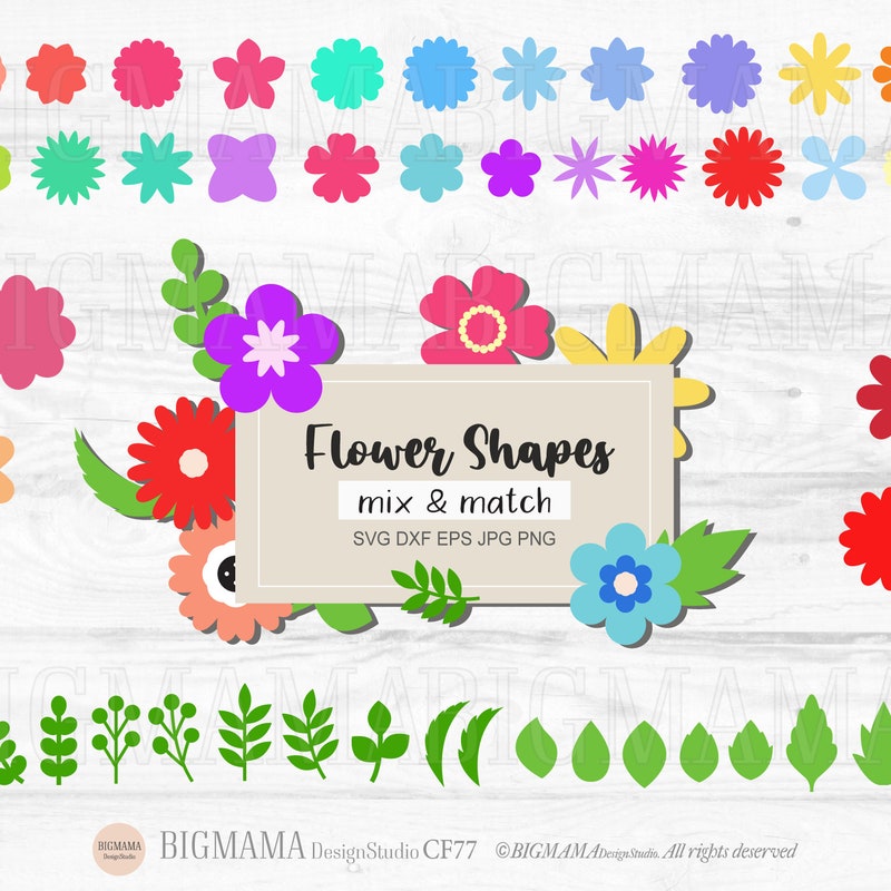 Flower Shapes Svg - Etsy