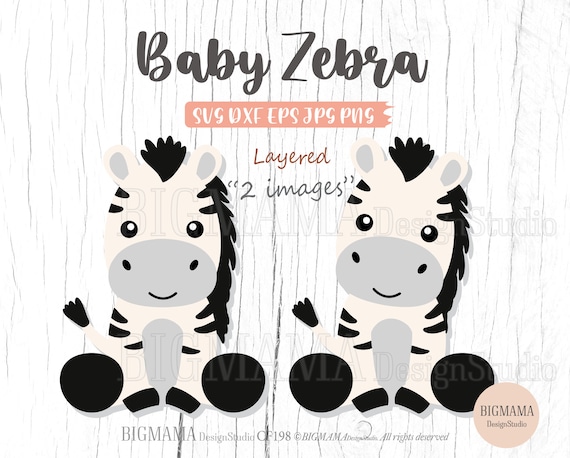 Baby Zebra Svgzebra Svg for Cricutcut | Etsy