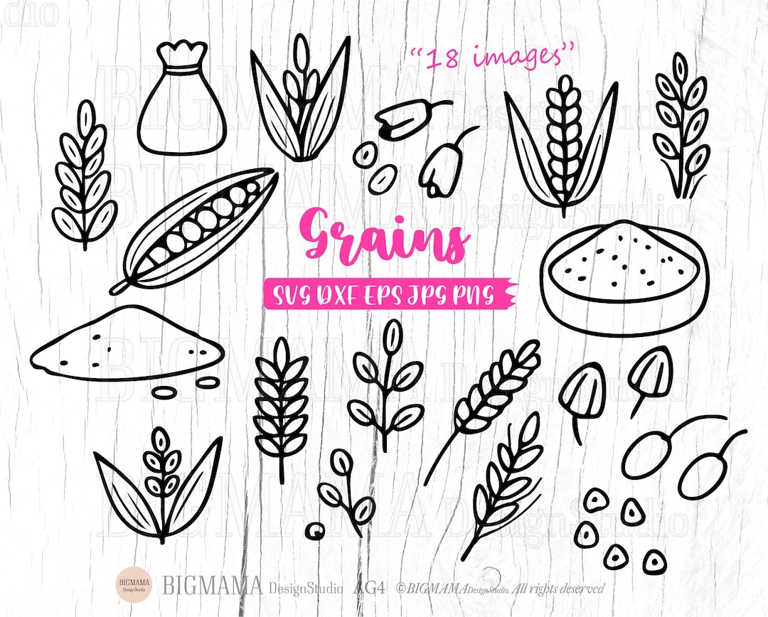 Grains Svg,grain Cut File,bundle,wheat,crops,produce,farm,cereal,corn ...