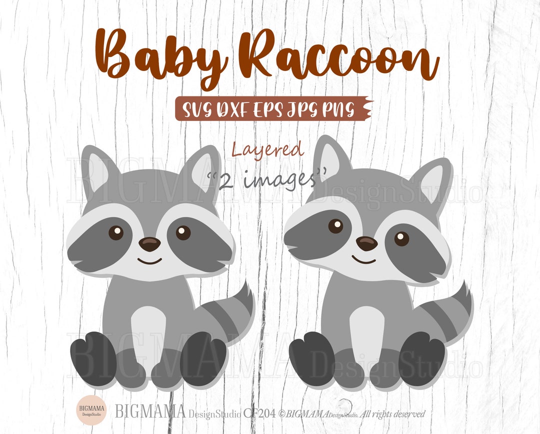 Baby Raccoon Svg,woodland Animals Svg,forest,raccoon Shirt,vinyl ...