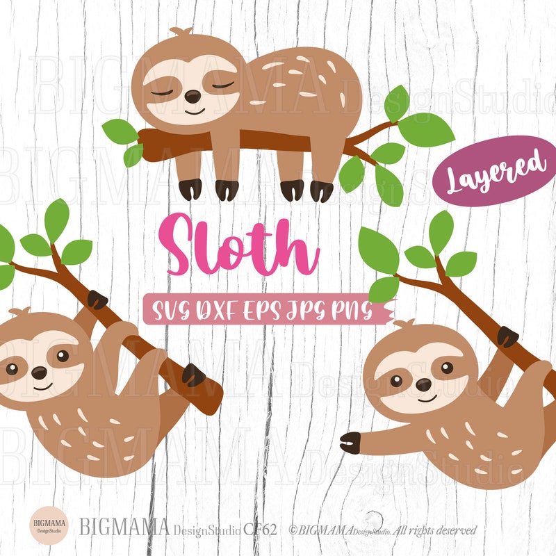 Birthday Sloth Svg - Etsy