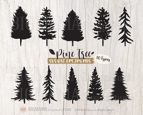Pine Tree Svgdxfchristmas Treesprucecut Filetree | Etsy