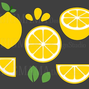 Lemon Slice Svg,fruits Dxf,fruit Svg,furit Cut File,lemon Layered ...