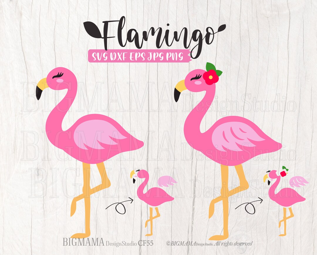 Flamingo Svg,flamingo SVG Cut File,flamingo Png,flamingo Svg for Cricut ...