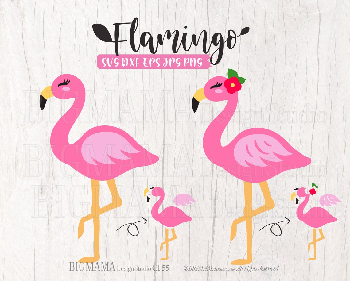 Flamingo SVGFlamingo SVG cut fileFlamingo PNGFlamingo svg | Etsy