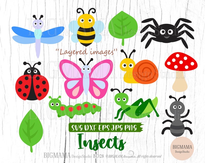 Insects SVG Bundle, Bugs Clipart, Cute Insect SVG, Worm SVG, Kids Baby ...