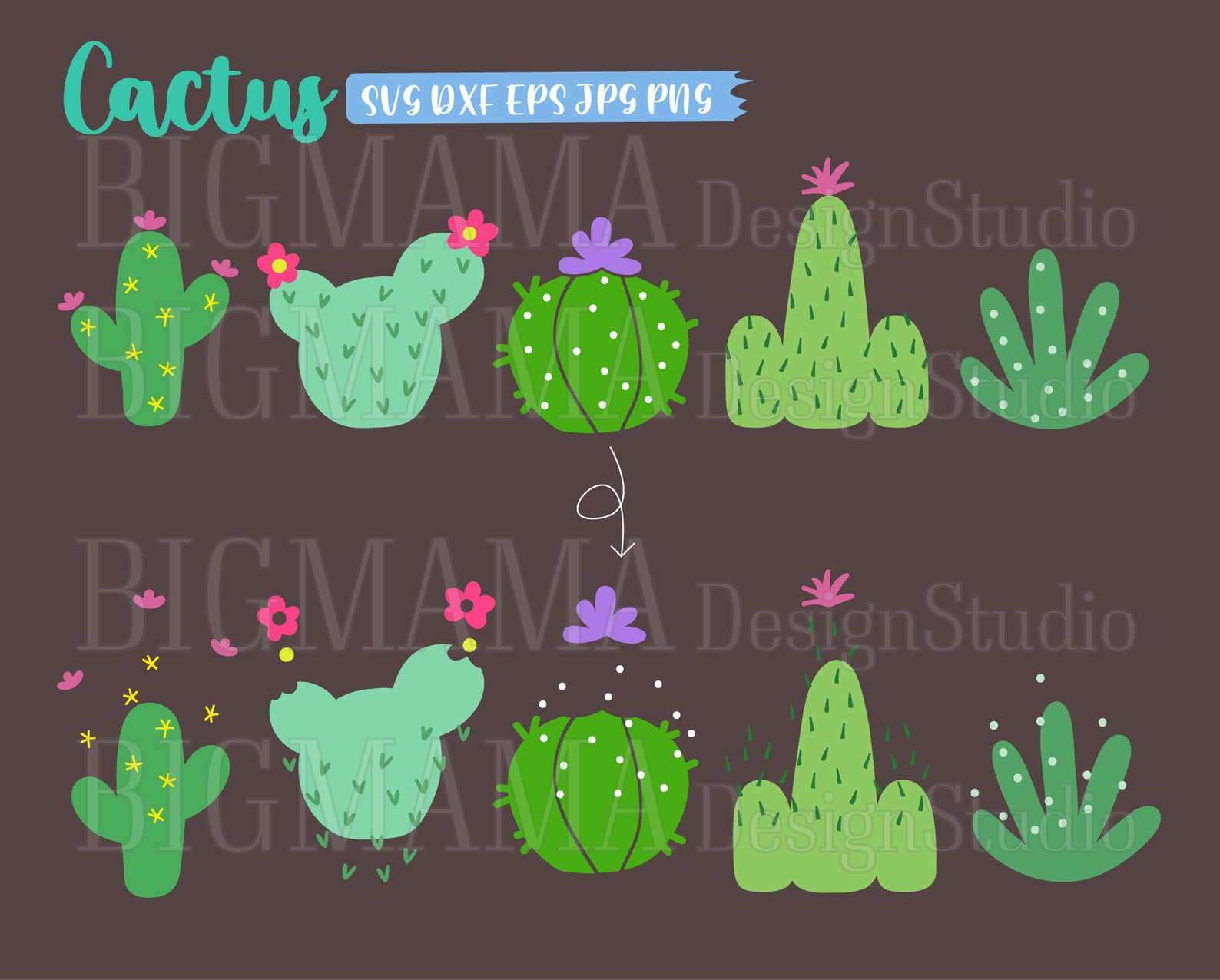 Cactus Svg,cactus Svg Files for Cricut,cactus Svg Bundle,png,dxf,cactus ...