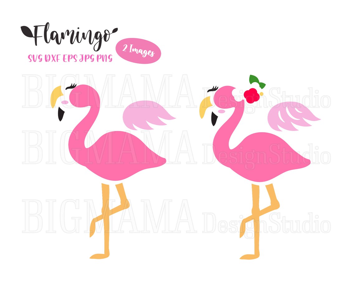 Flamingo SVGFlamingo SVG cut fileFlamingo PNGFlamingo svg | Etsy