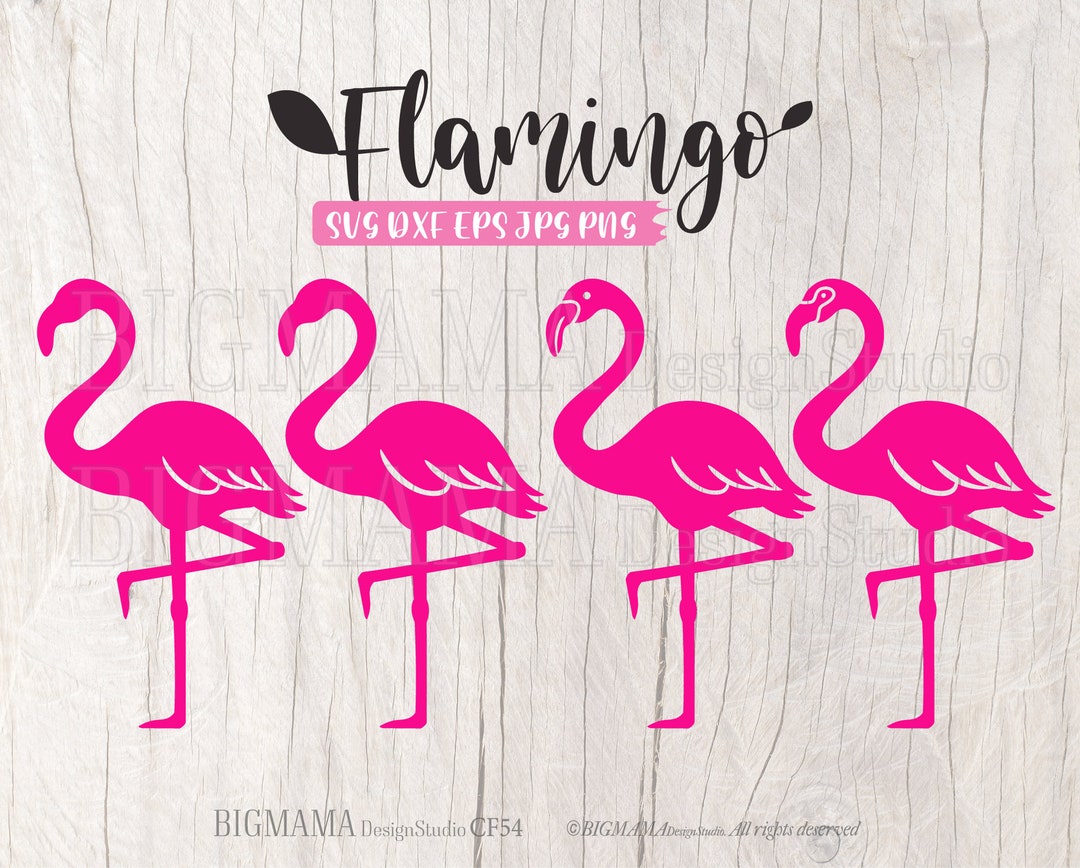 Flamingo Svg,flamingo Cut File,flamingo Print,flamingo SVG File,dxf ...