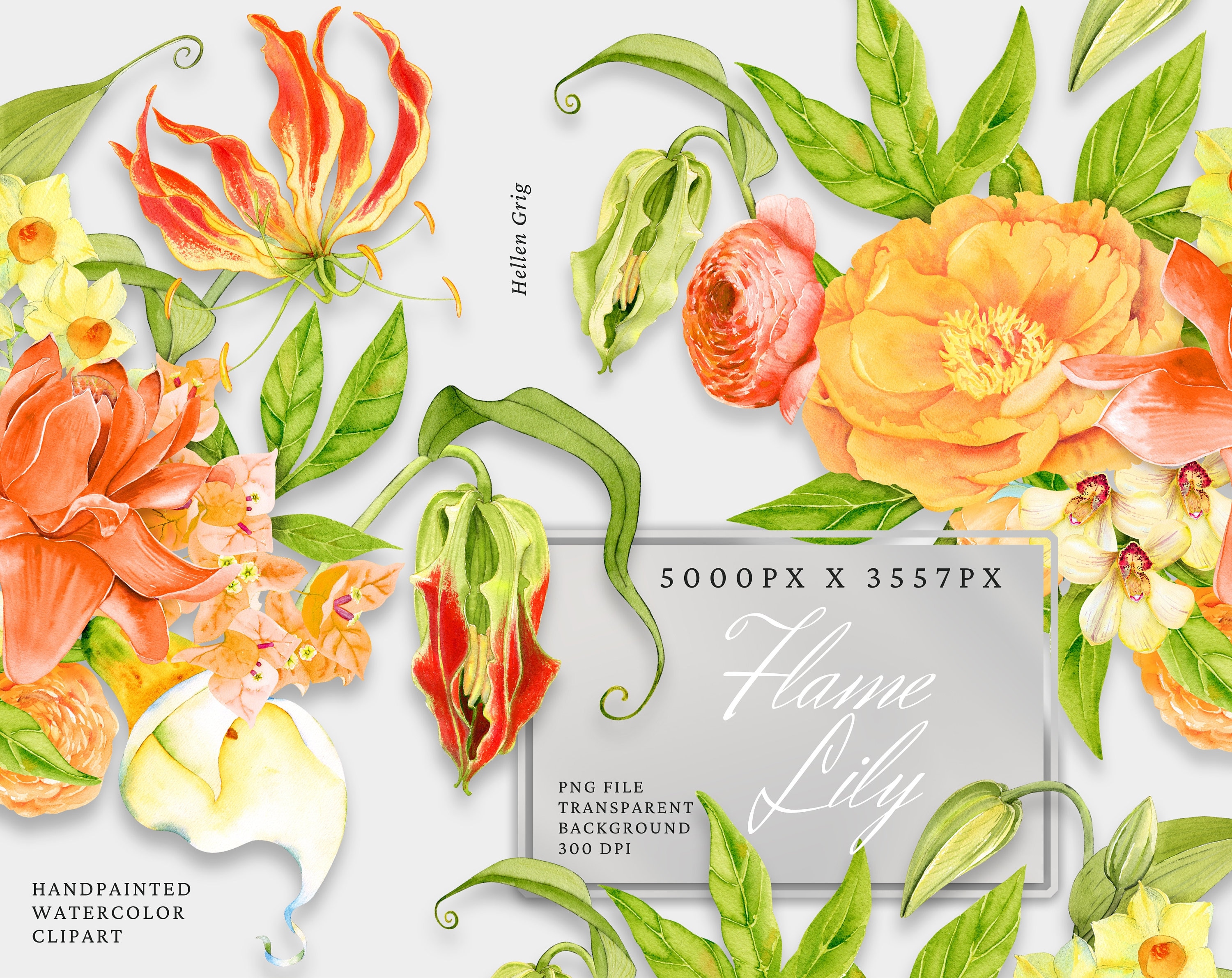 Watercolor Flower Clipart, Flame Lily Bouquet, Floral Arrangements ...