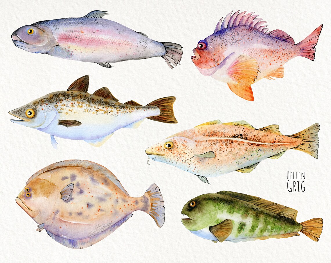 Fish Watercolor Clipart. Handpainted Sea Fish Clip Art. - Etsy