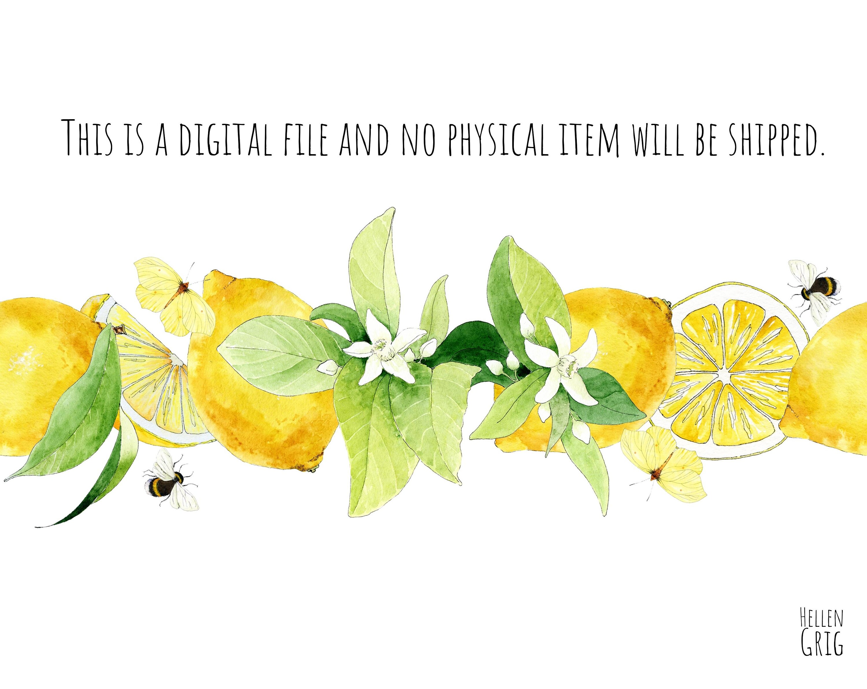 Watercolor Kitchen Border Clipart. Olive Lemon Hop Seamless - Etsy