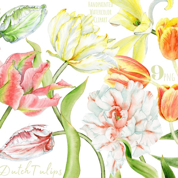 Tulip Clipart - Etsy