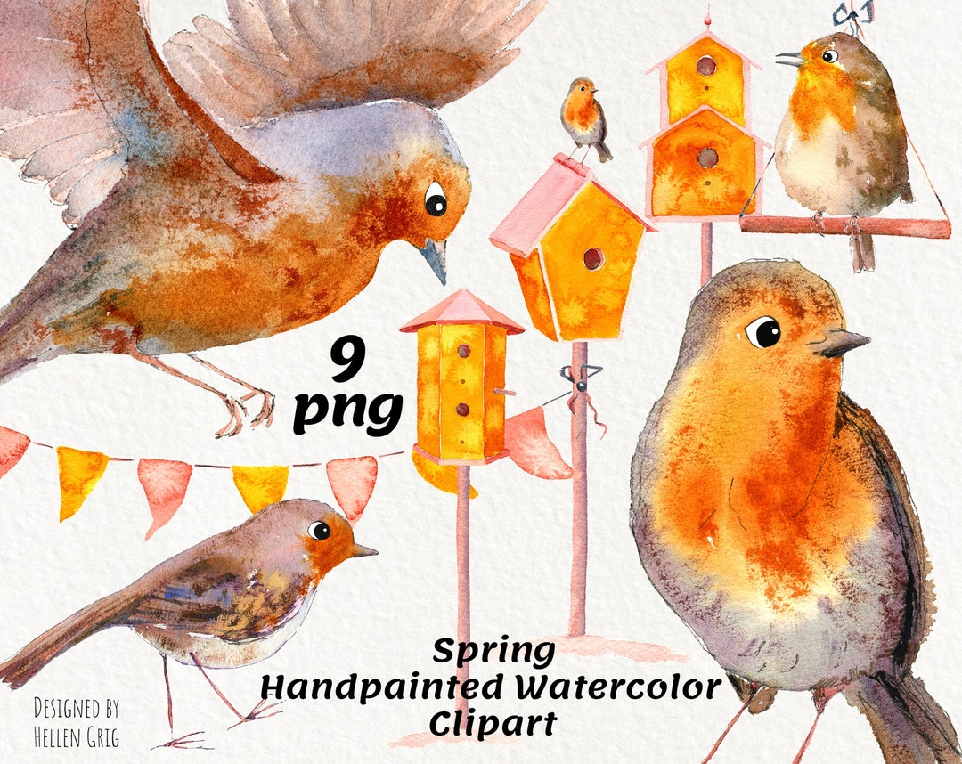 Watercolor Spring Clip Art, Handpainted Robin Birds and Bird Houses ...